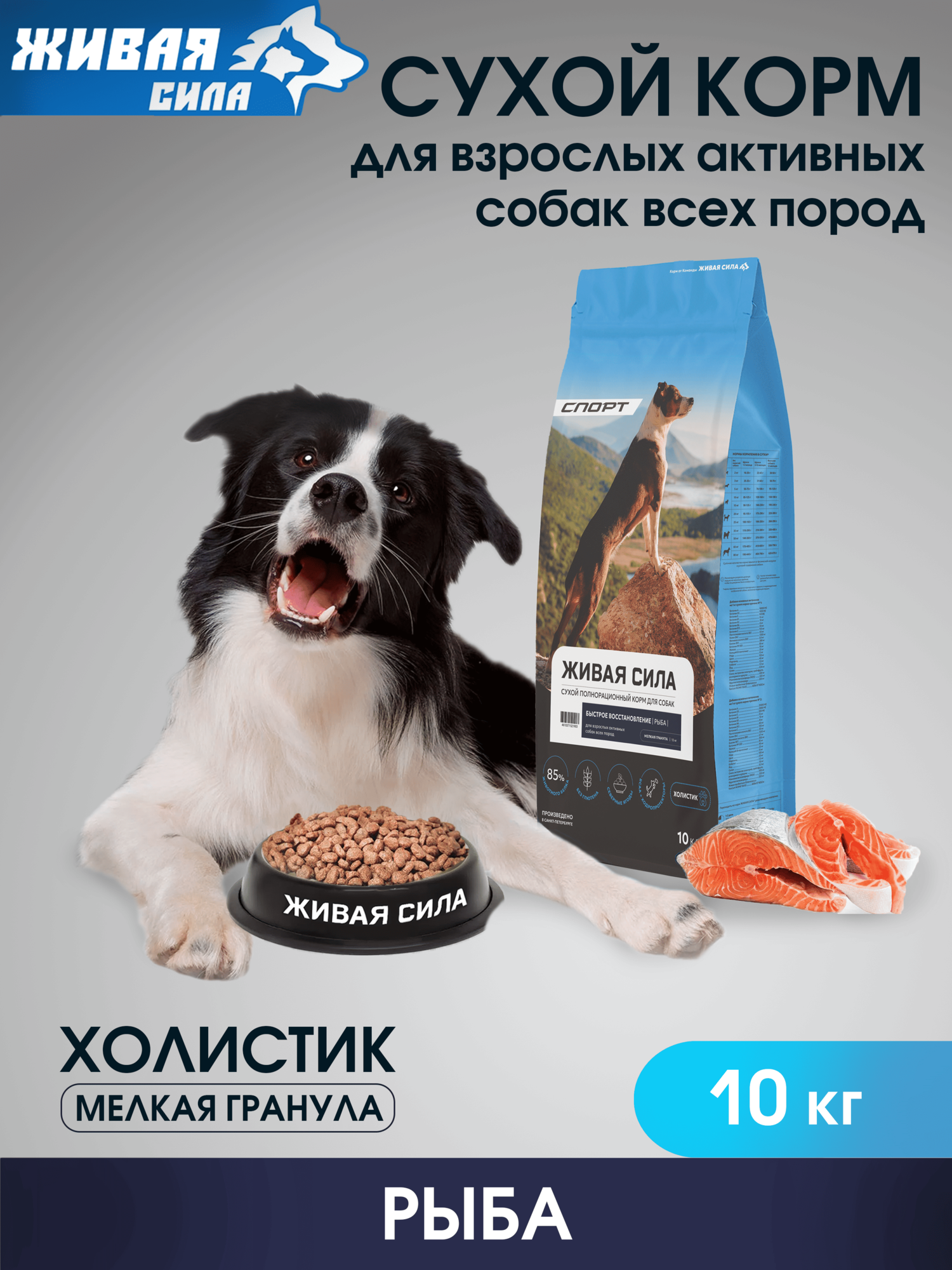 Живая Сила Спорт с рыбой (Живая Сила Океан), мелкая гранула, 10 кг.