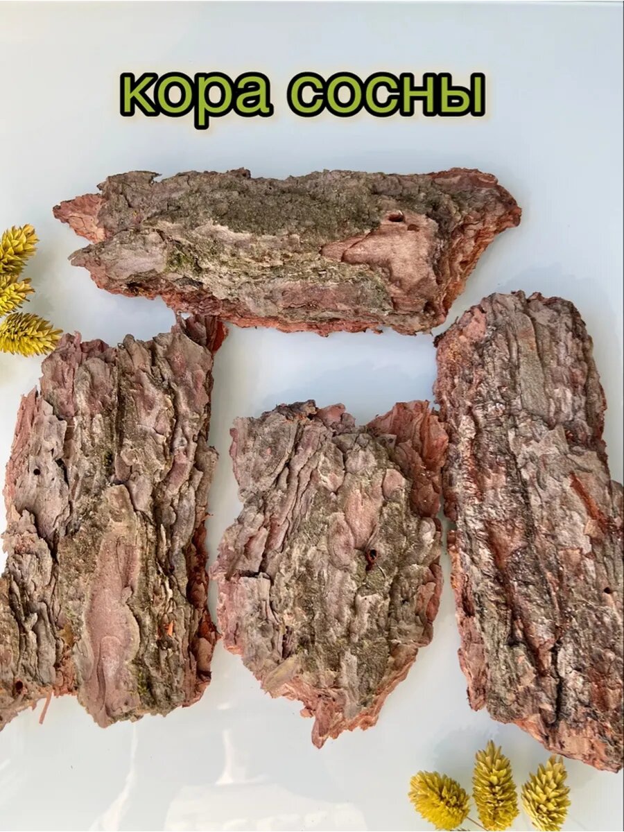 Кора сосны, природный материал, поделки, творчество, сухая кора