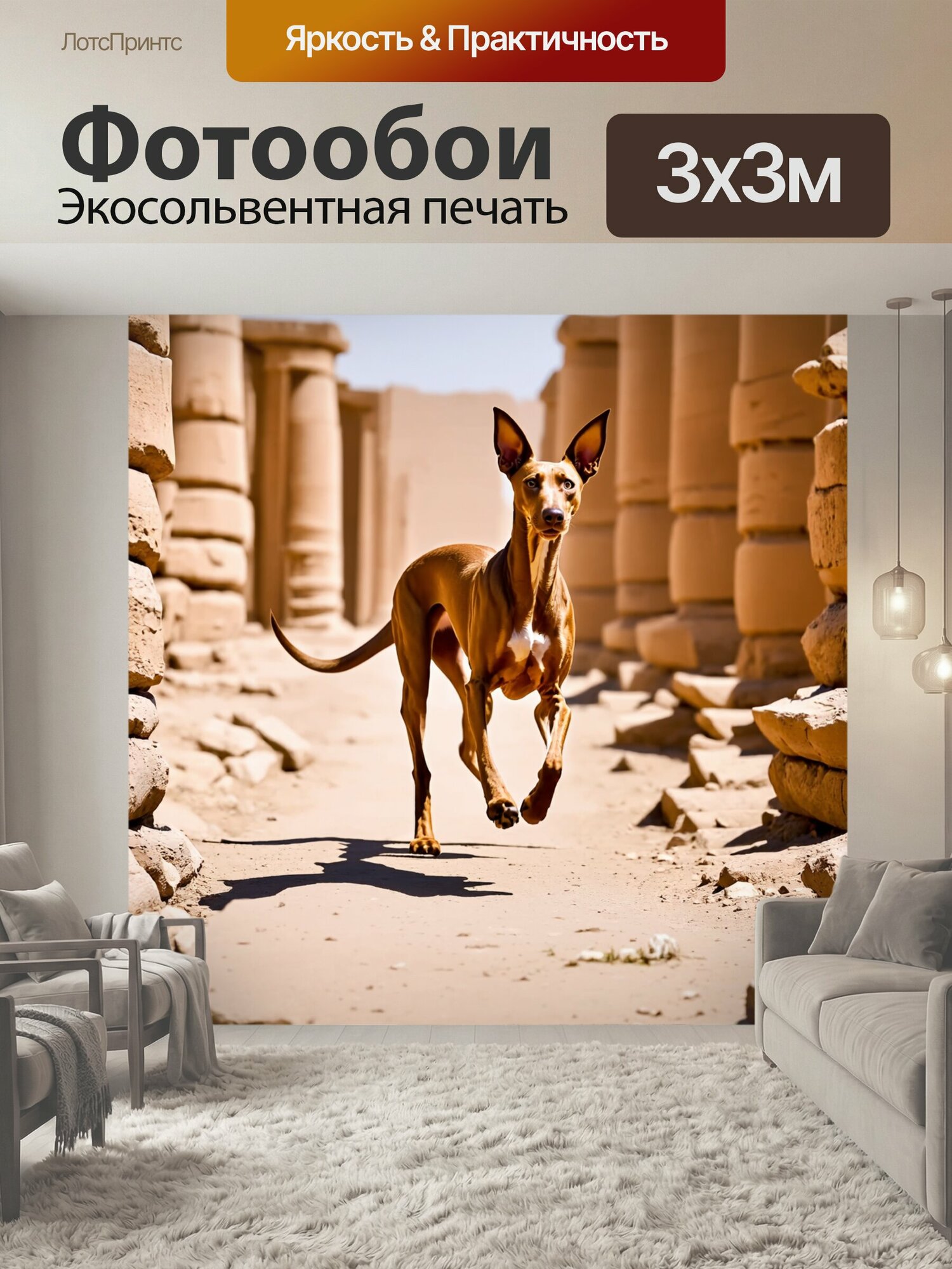 Фотообои "Собака фараонова, изящная и грациозная, бегущая по древним руинам" 300x300 см. экосольвентная печать