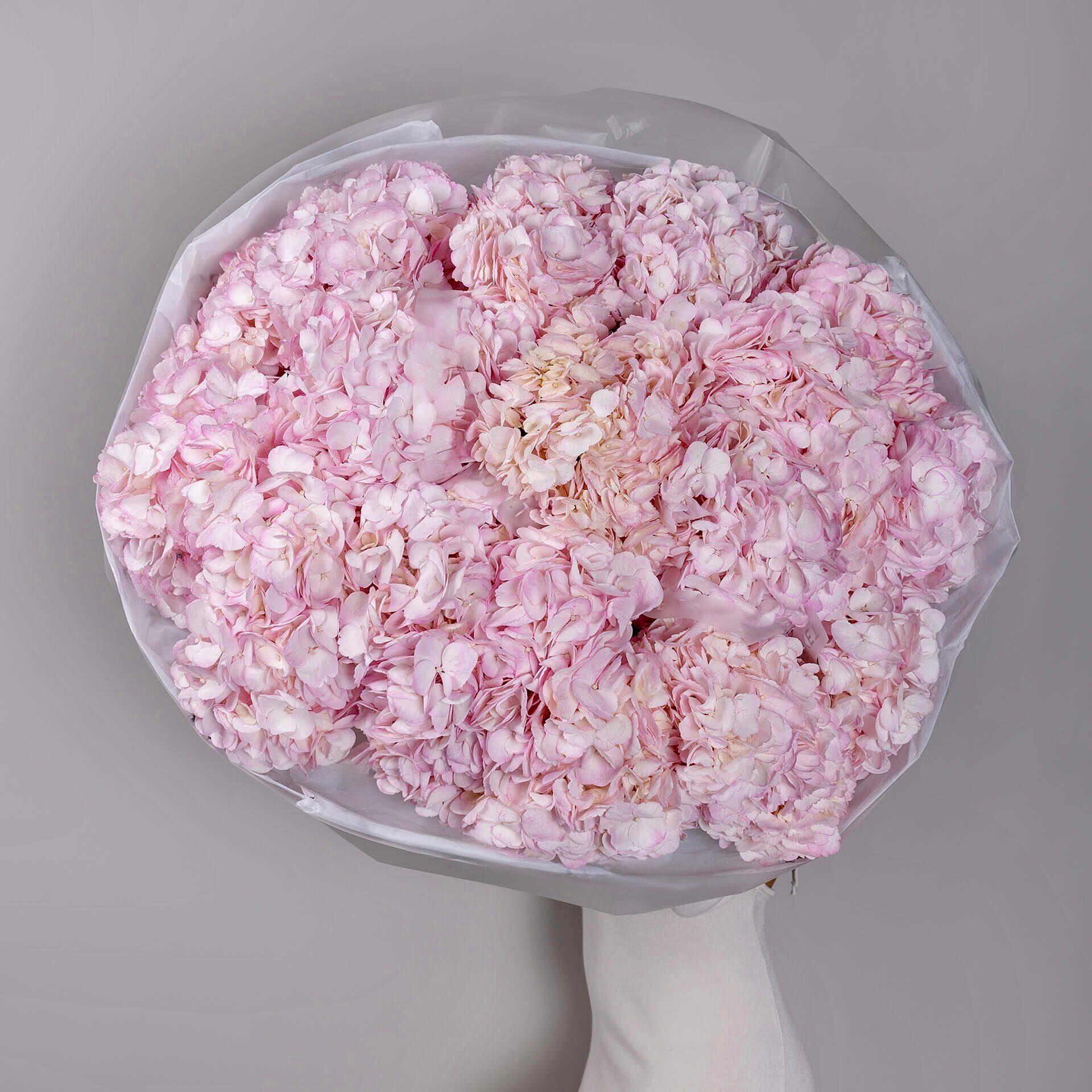 Монобукет "Гортензии Колумбия", розовый, 17шт, в упаковке с лентами