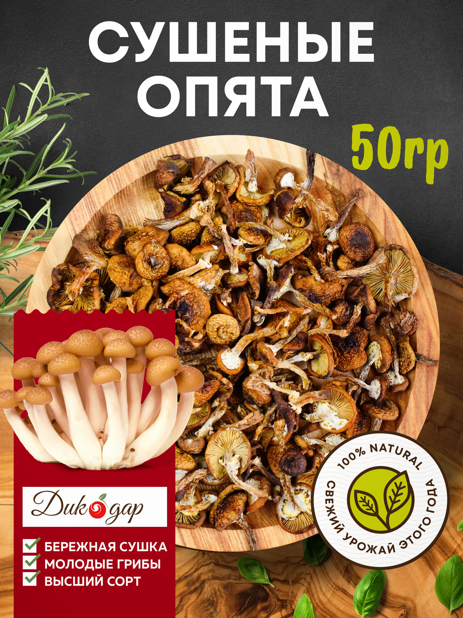 Сушеные грибы опята Дикодар 50 гр, натуральный продукт, сбор 2025 год