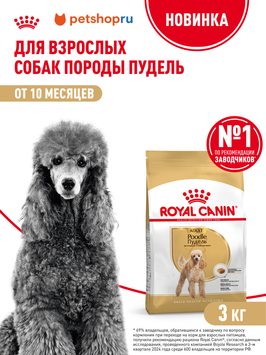 Royal Canin Пудель Эдалт сухой полнорационный корм для взрослых собак породы пудель старше 10 месяцев, Poodle Adult, 3 кг