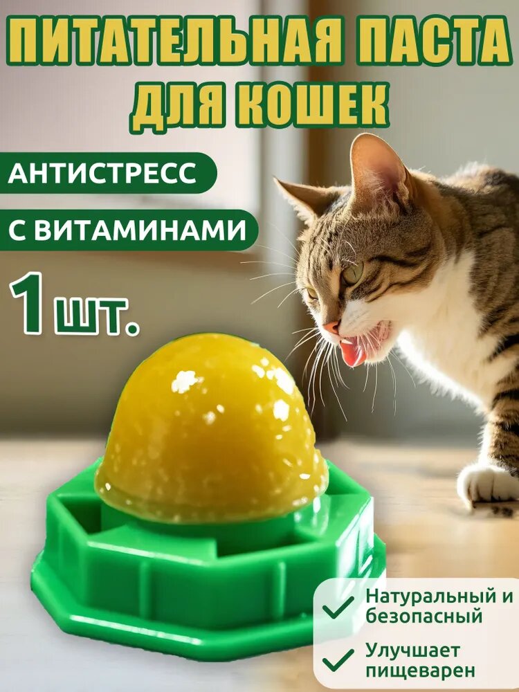 Леденец для кошек, шарик с кошачьей мятой,1 шт, вкусные игрушечные мячики с курицей и витаминами для кошек