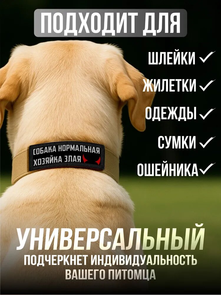 Стикер Джой Chevron — фото 1