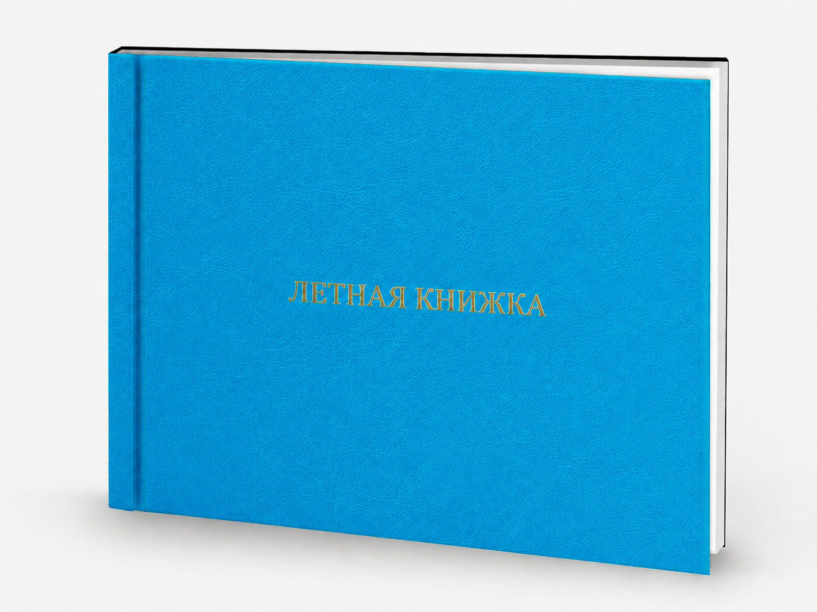 Летная книжка летчика, голубой бумвинил