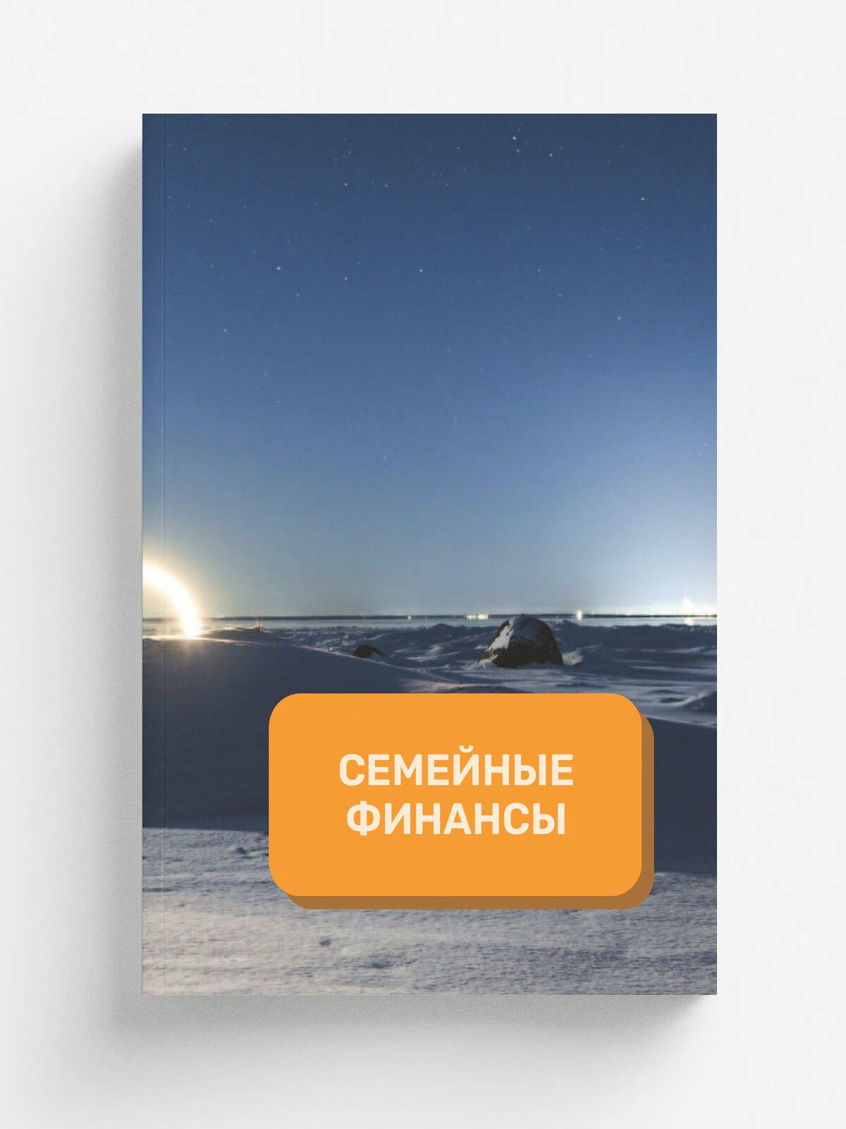 Семейный финансы на год