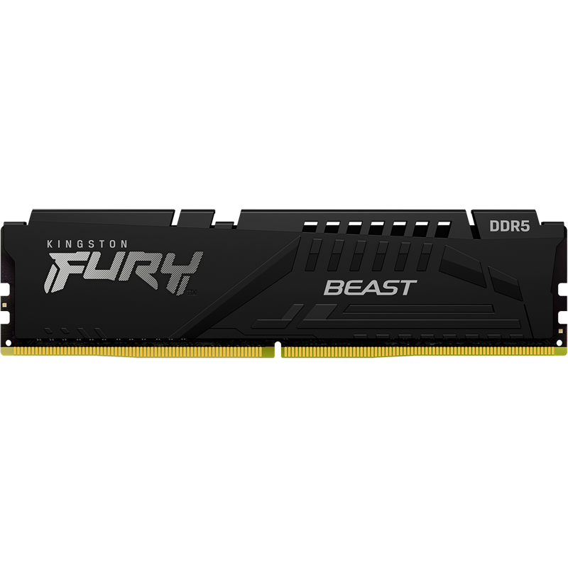 Оперативная память Kingston 16GB 5600MT/s DDR5 CL40 DIMM FURY Beast Black XMP (Kingston KF556C40BB-16) KF556C40BB-16