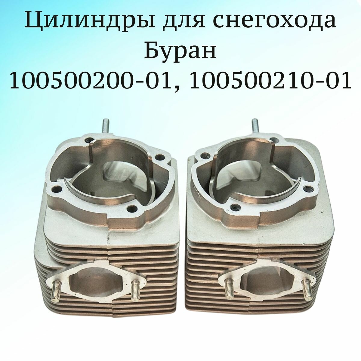 Цилиндры для снегохода Буран 100500200-01, 100500210-01 (пара)