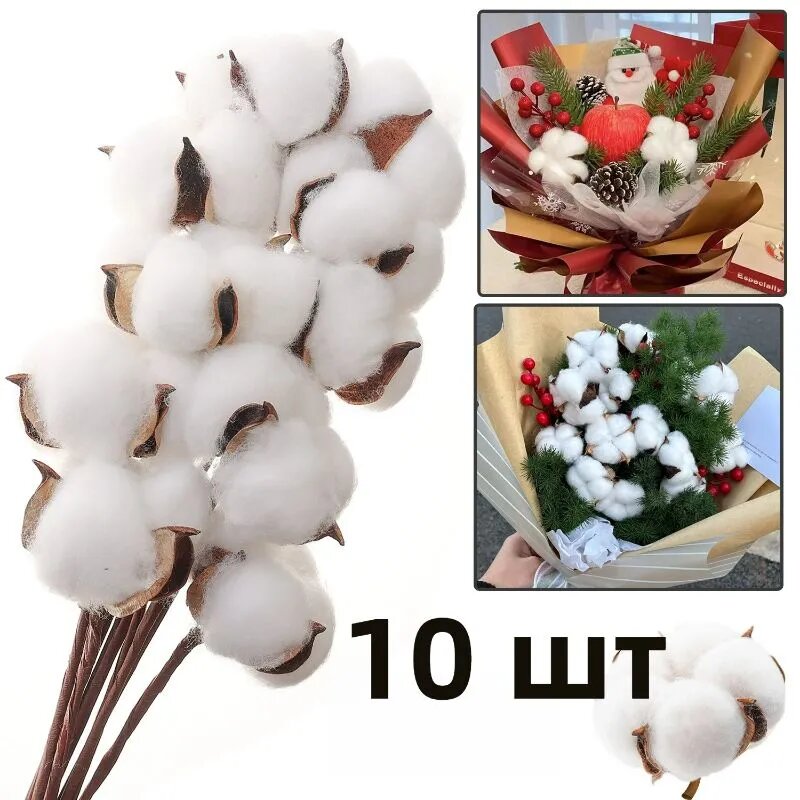 Сухоцветы Хлопок, 46 см, 60 гр, 30 шт