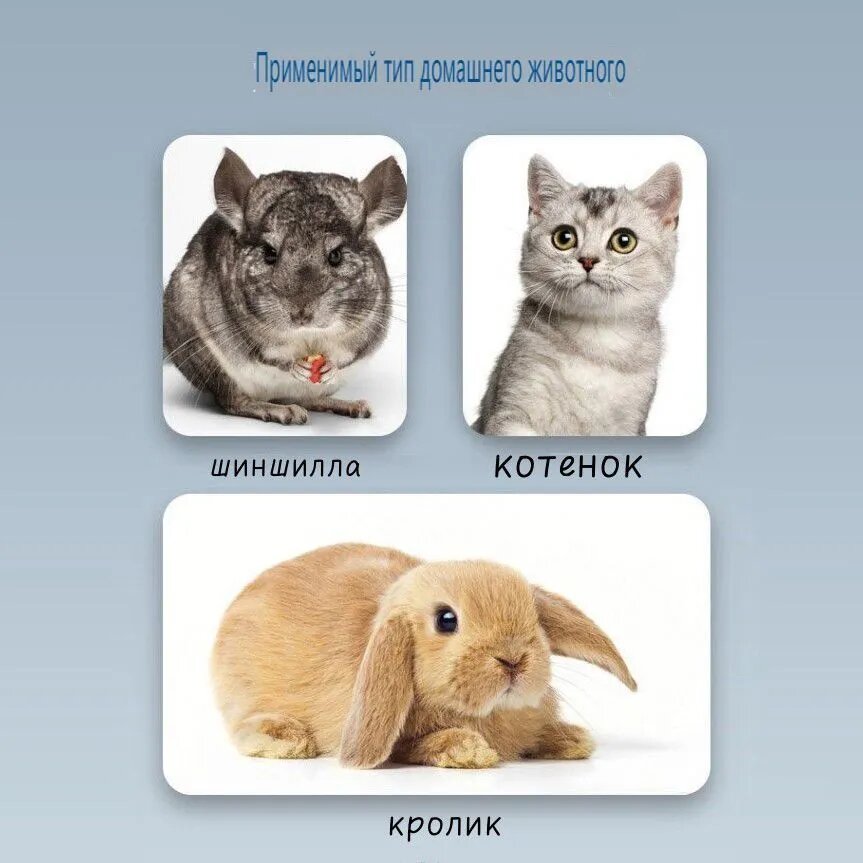 Клетка для животных — фото 1