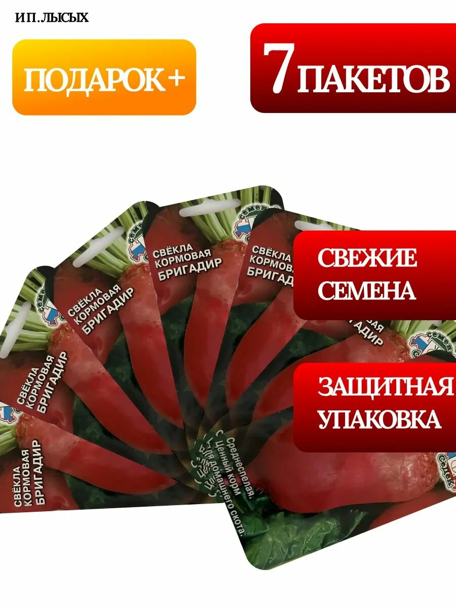 Семена Свекла Кормовая "Бригадир"