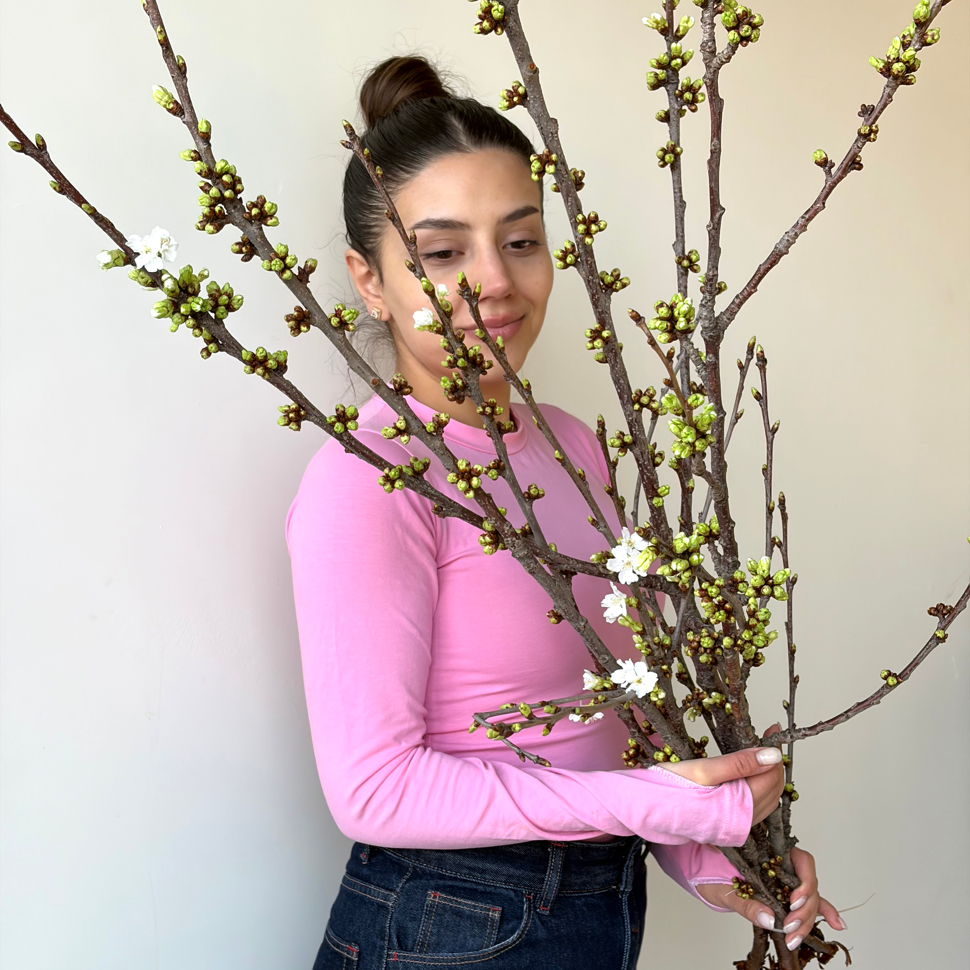 Ветки вишни #1042