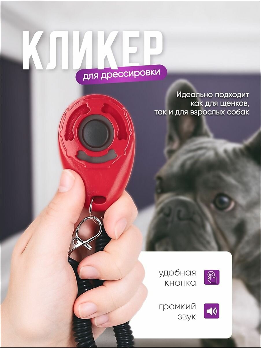 Кликер для дрессировки собак, с браслетом, кнопкой, красный кликер,2 шт.