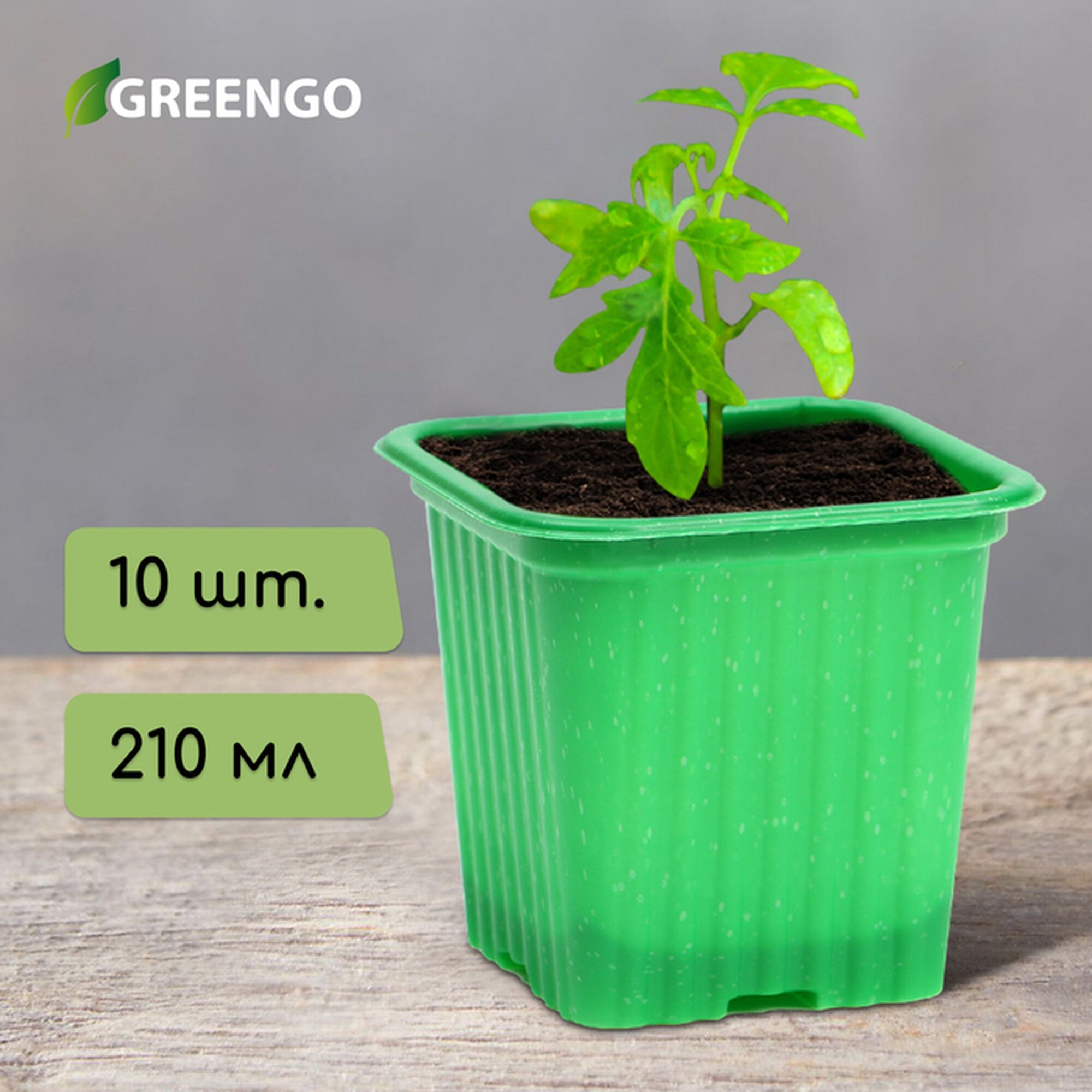Горшок для рассады, 210 мл, d=7 см, h=6.5 см, зелёный, в наборе 10 шт, Greengo, 3 шт.