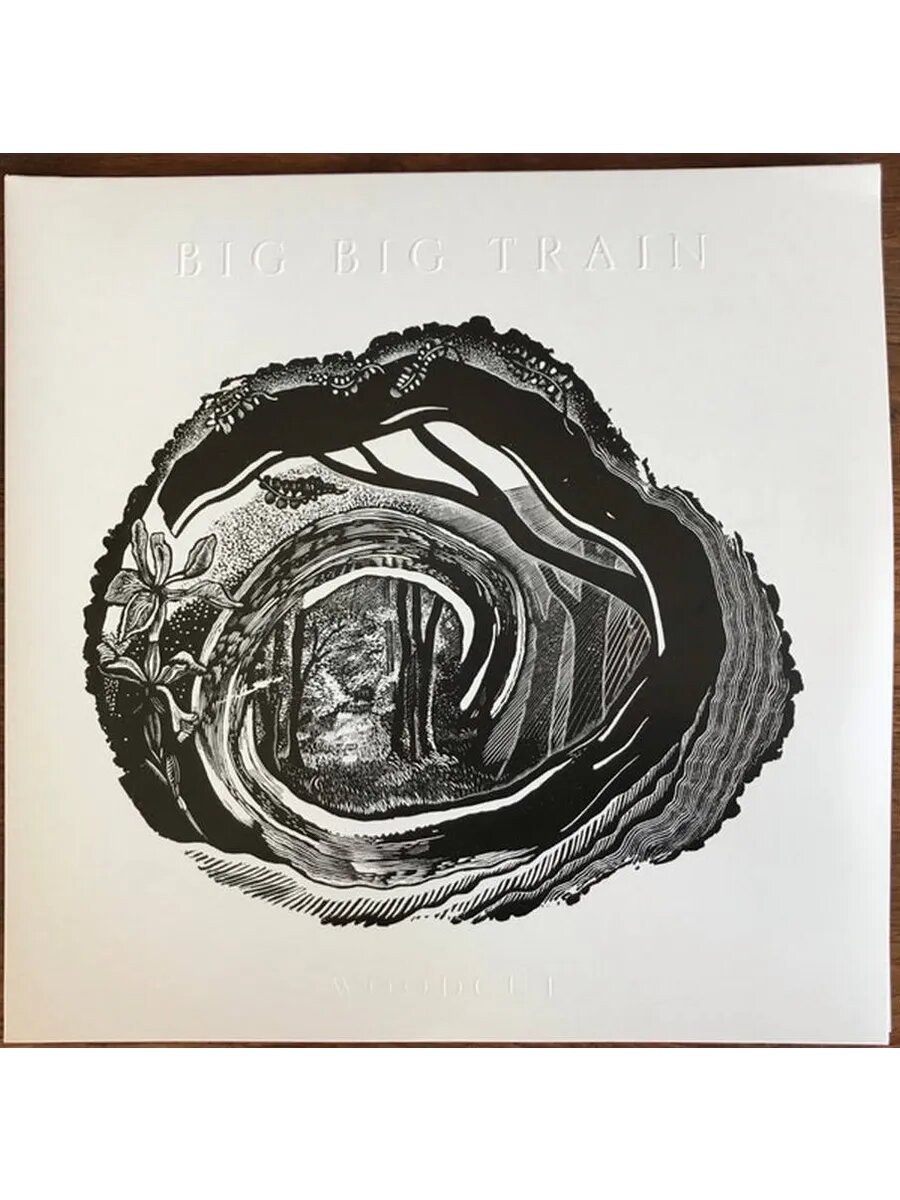 Big Big Train - Woodcut (2LP) — фото 1