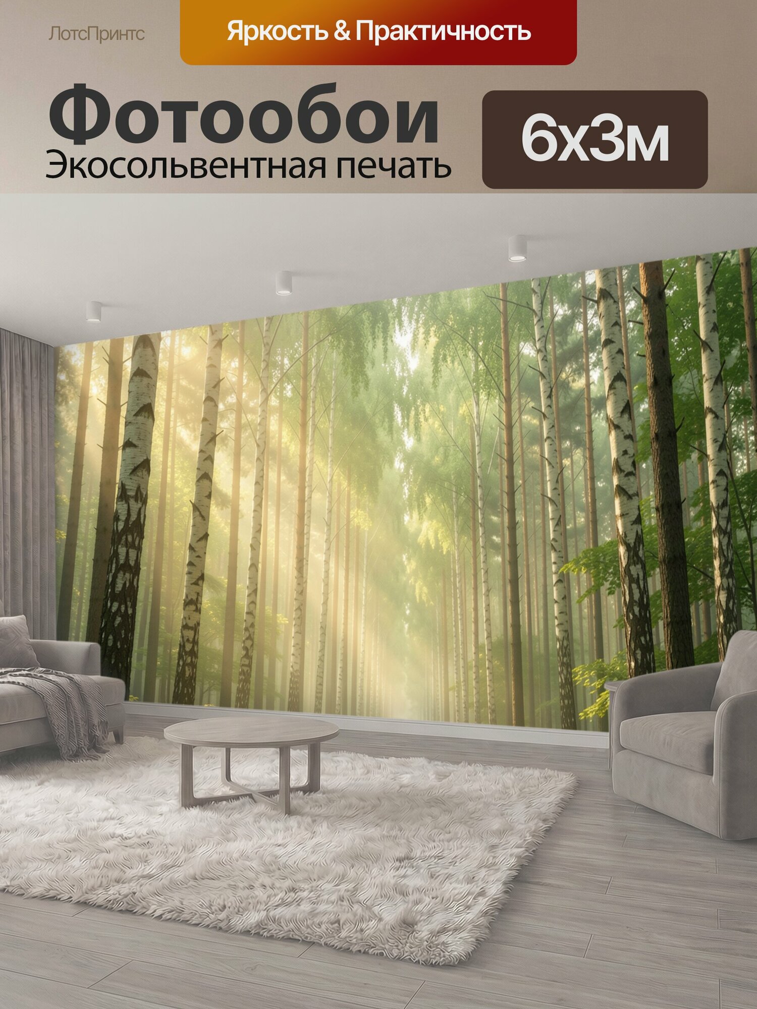 Фотообои "Солнечная берёзовая аллея в лесу. Узкая тропинка в светлом лесном массиве с высокими стволами, мягкими лучами солнца и туманной." 600x300 см. экосольвентная печать
