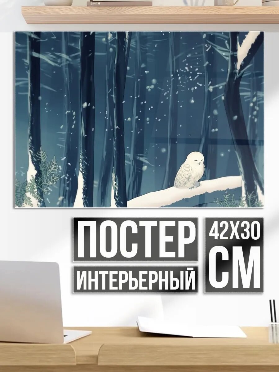 Плакат постер Белая сова в лесу