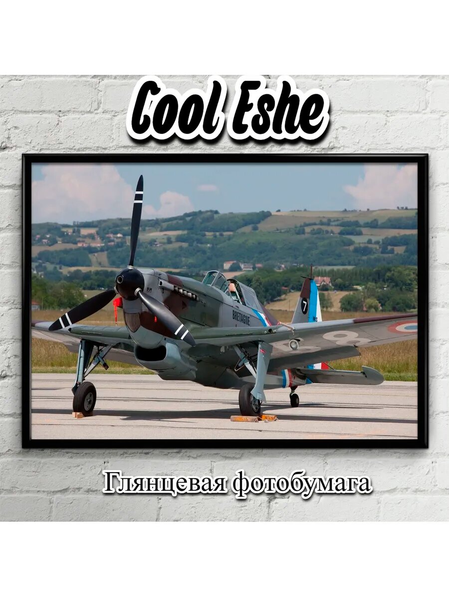 Плакат "Morane-Saulnier MS.406, истребитель, Франция" А4