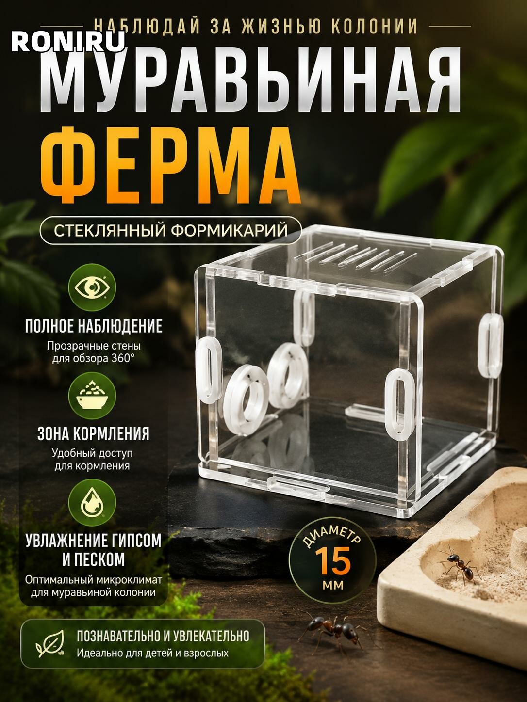 Муравьиная ферма для наблюдения колонии — стеклянный формикарий с зоной кормления и увлажнением гипсом и песком