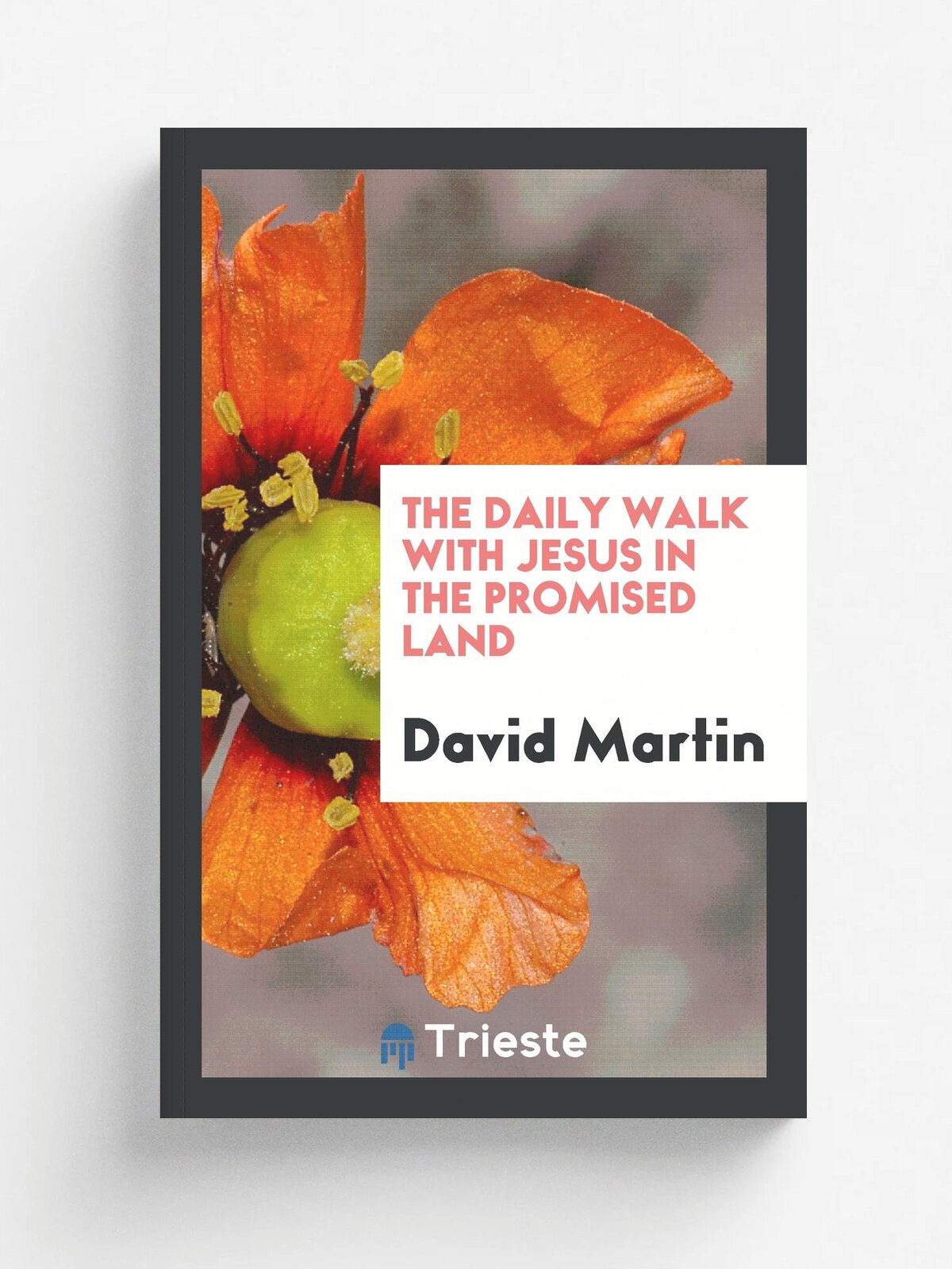 The daily walk with Jesus in the promised land