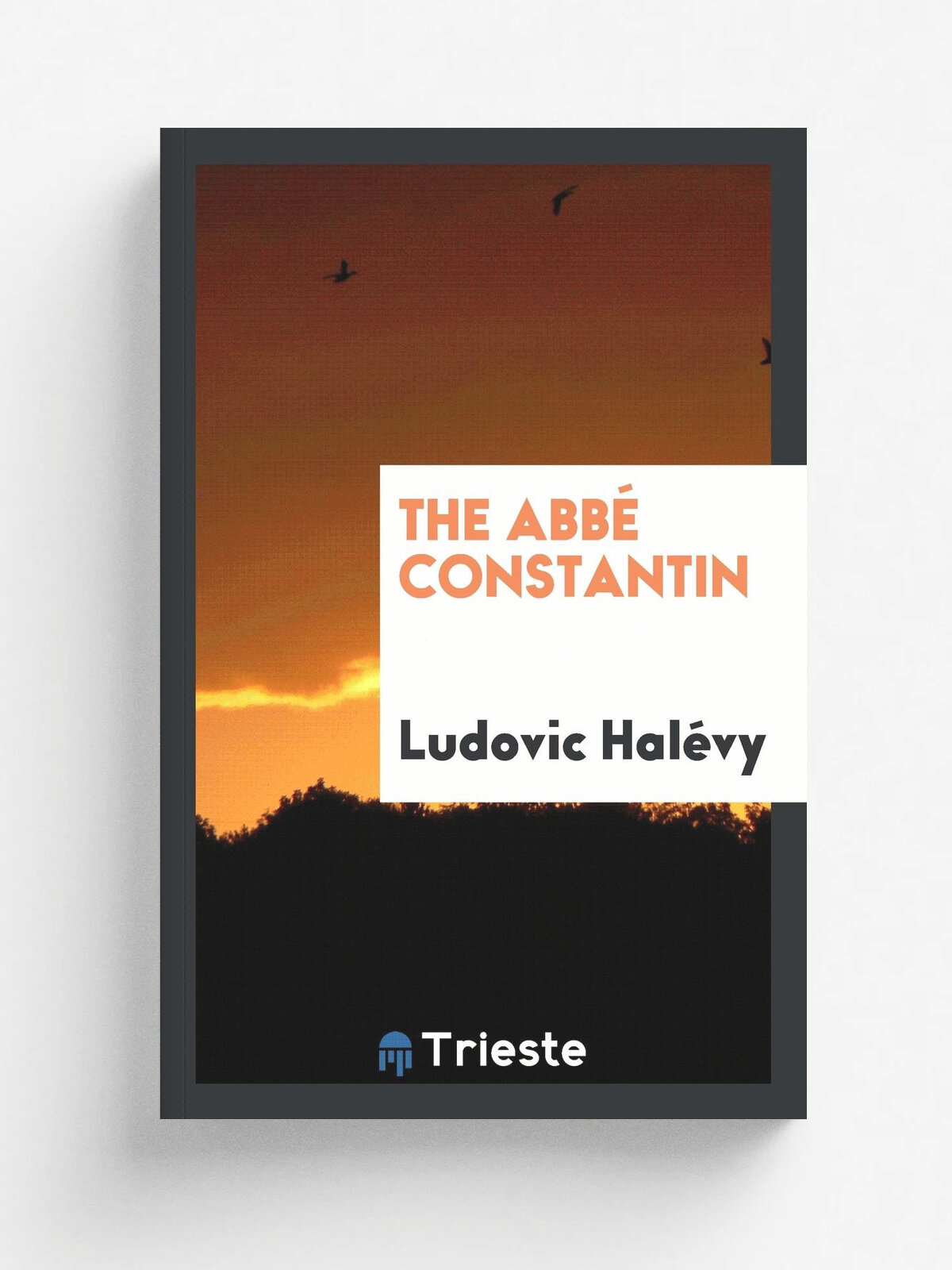 The Abb. Constantin