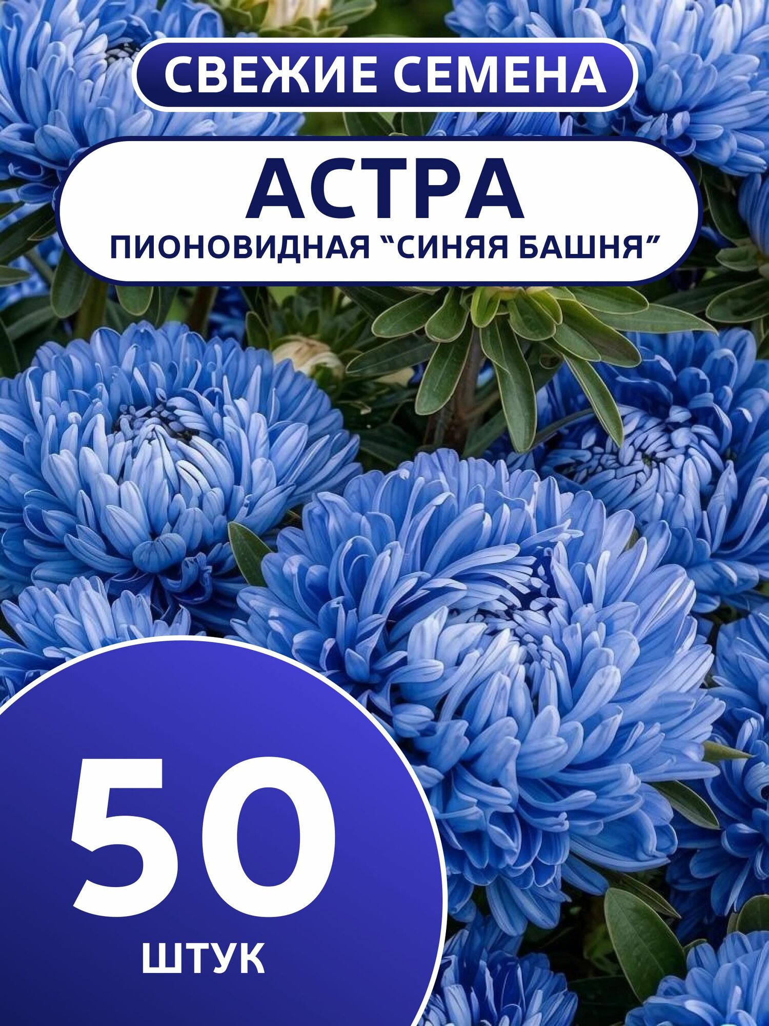 Астра пионовидная семена для выращивания 50 шт