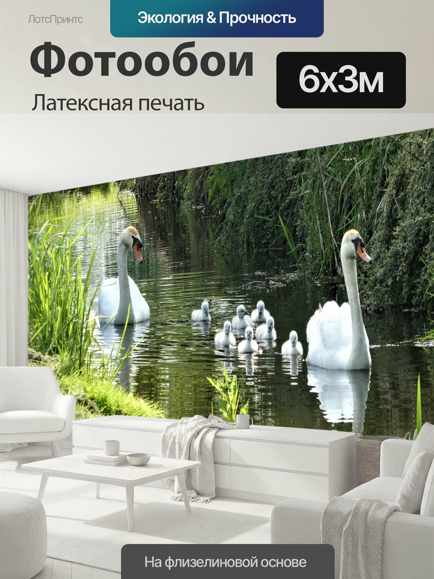 Фотообои моющиеся ударопрочные "Лебедь с птенцами, лебедь, цыплята" 600x300 см. латексная печать