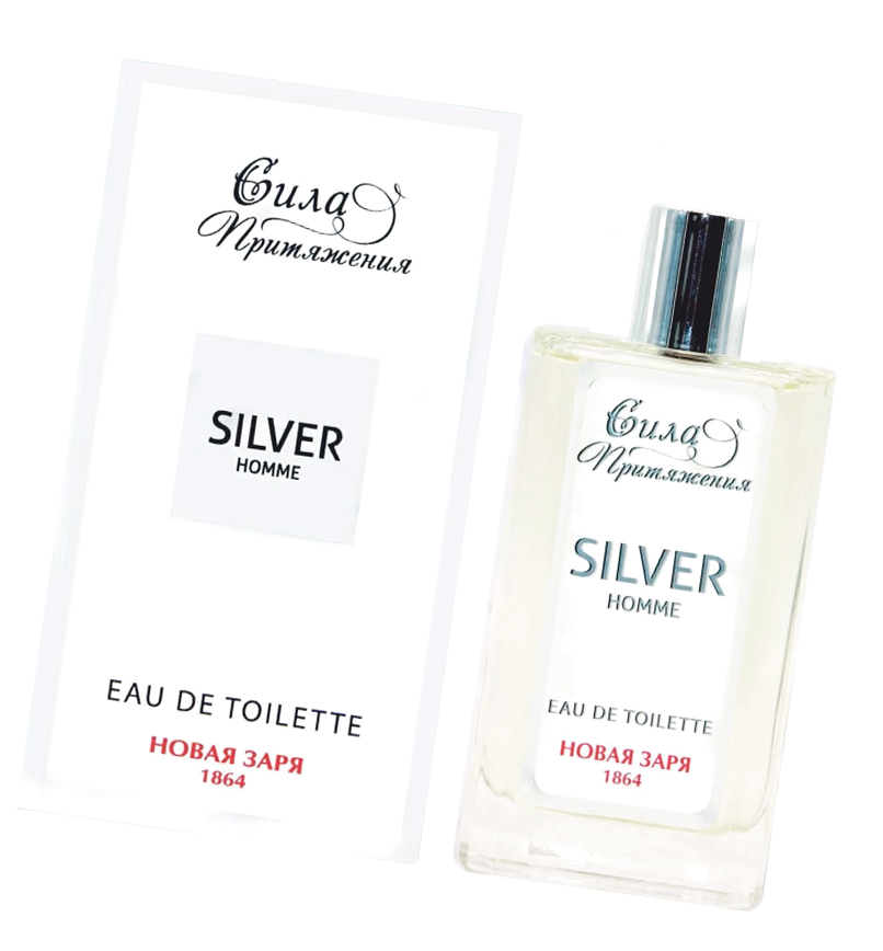 Мужской аромат Nouvelle Etoile Silver 100 мл - Новая Заря Серебро туалетная вода