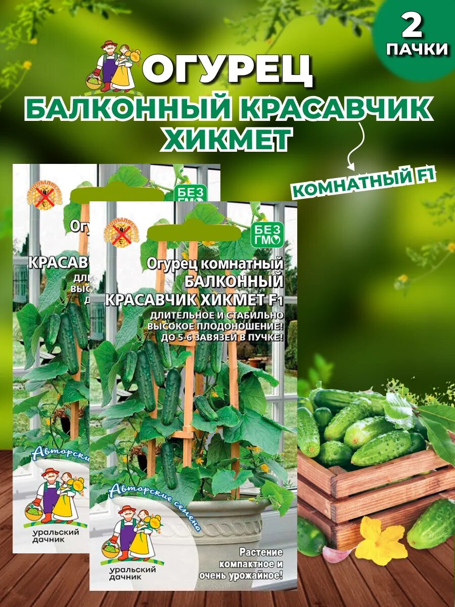 Огурец Балконный красавчик Хикмет - комнатный F1, 2*6 семян