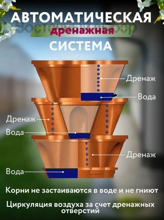Грядка — фото 1