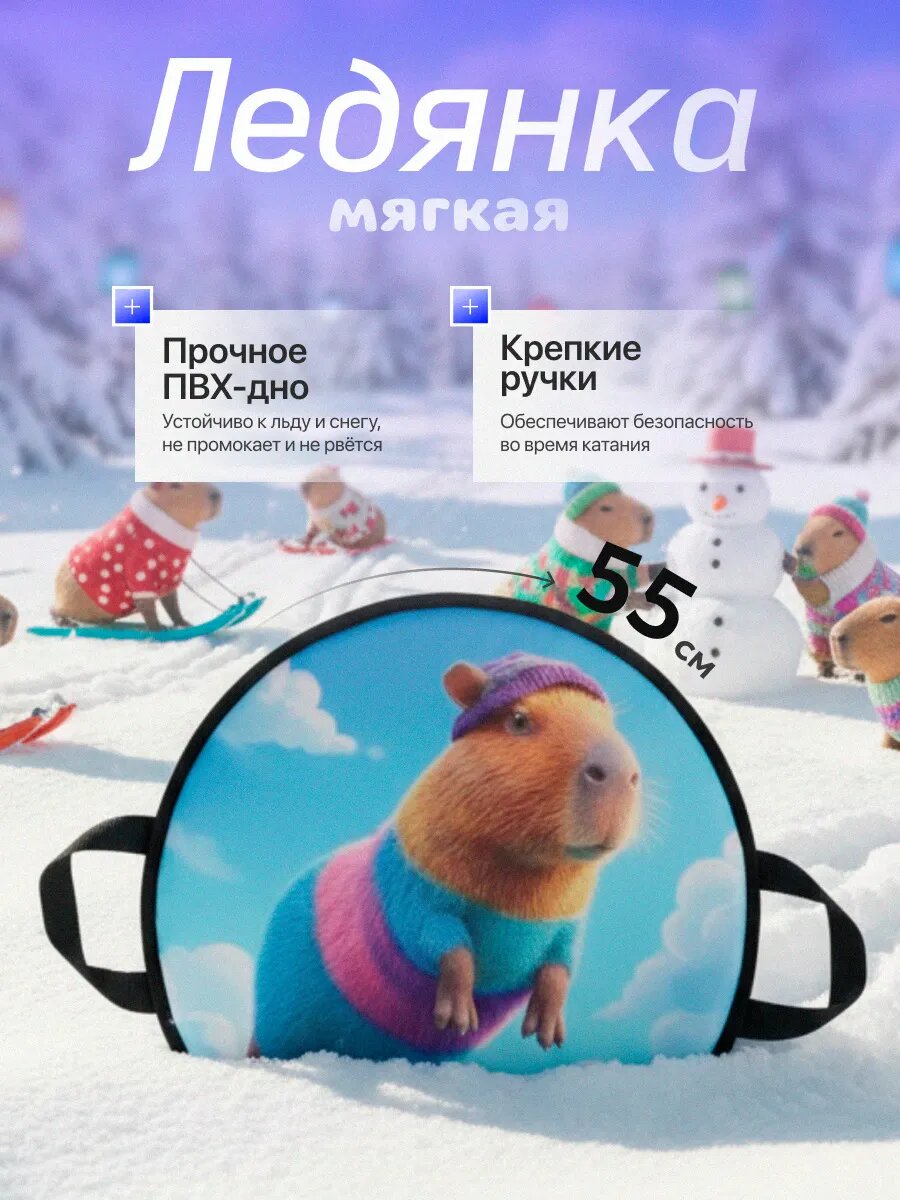 Ледянка