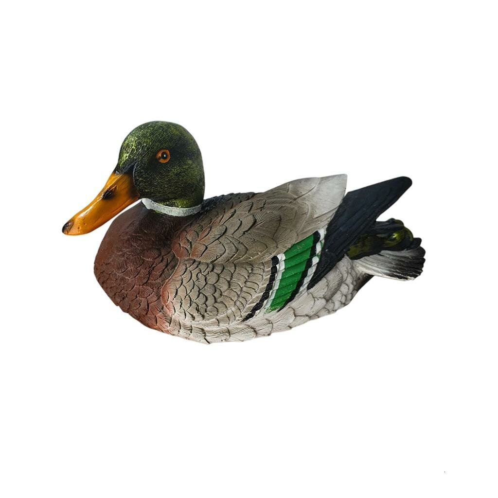 Украшение плавающей воды в бассейне с утиным двориком -самец утки