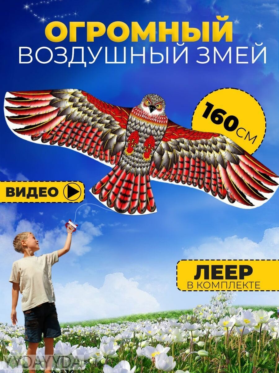 Воздушный Змей для ребенка большой Сокол