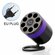 Нагреватель для аквариума HARBOR DENT, 220V EU Plug, черный