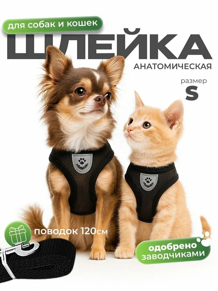 Шлейка для кошек с поводком, собак мелких пород безопасность