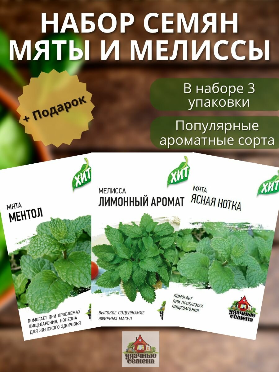 Набор семян Гавриш "Мята и Мелисса", для домашнего выращивания, круглый год