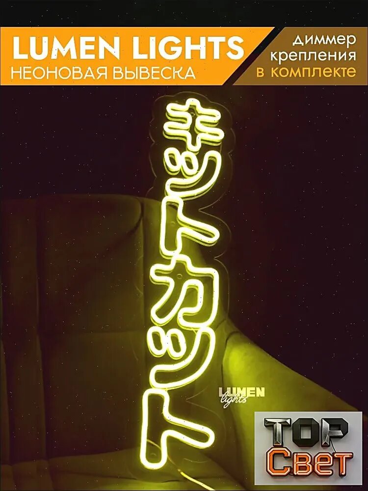 Неоновая вывеска Иероглифы, LED светильник декоративный, 730x170 мм классический вариант серии