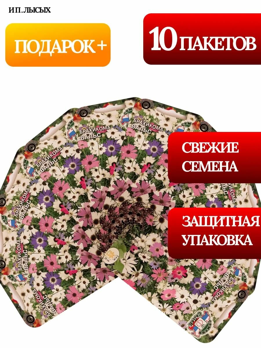 Семена Брахикома "Вальс"