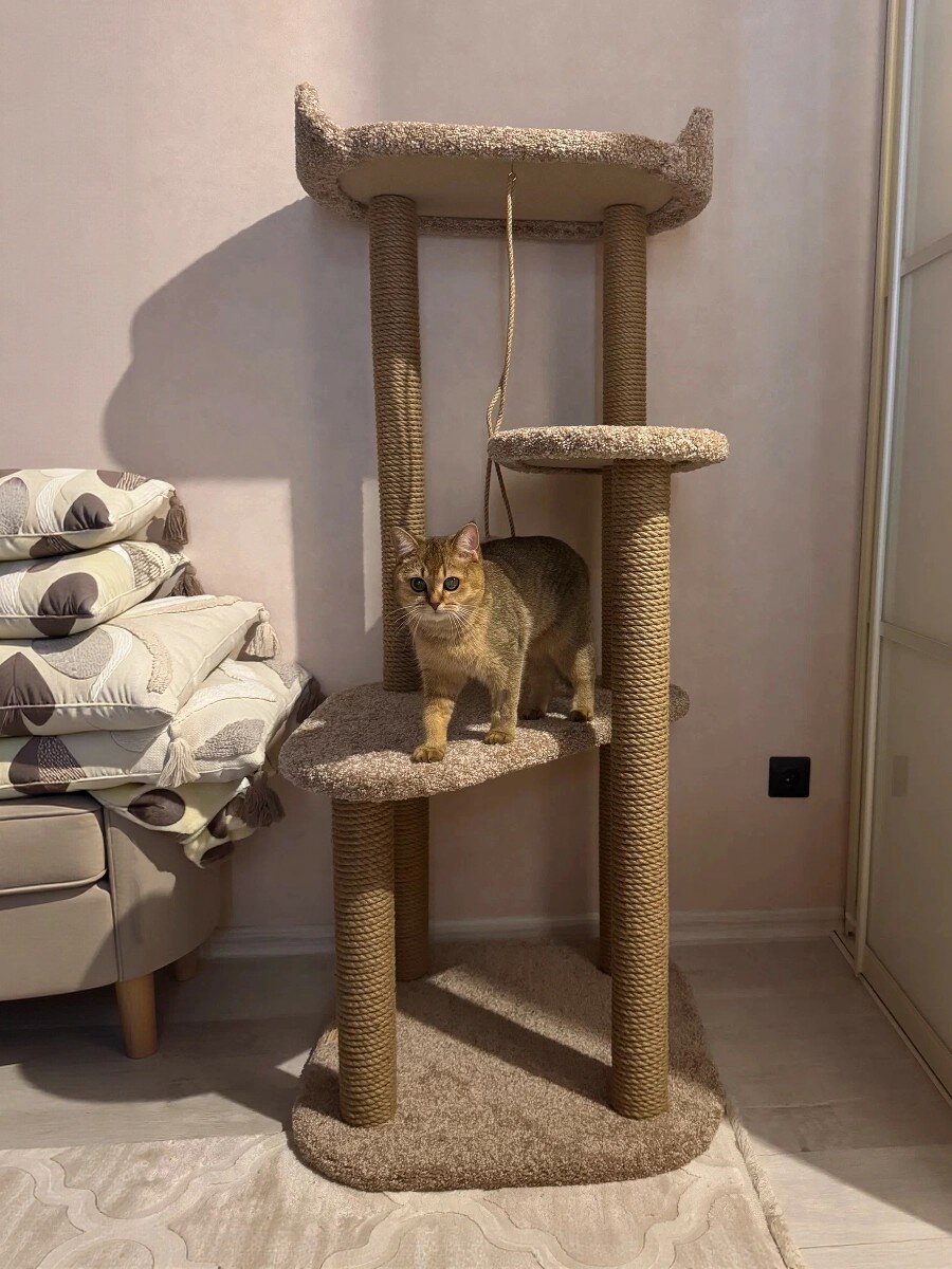 Когтеточка для кошки, Моя Котя, с большой лежанкой, "Космическая одиссея", бежевый ковролин и джутовый канат