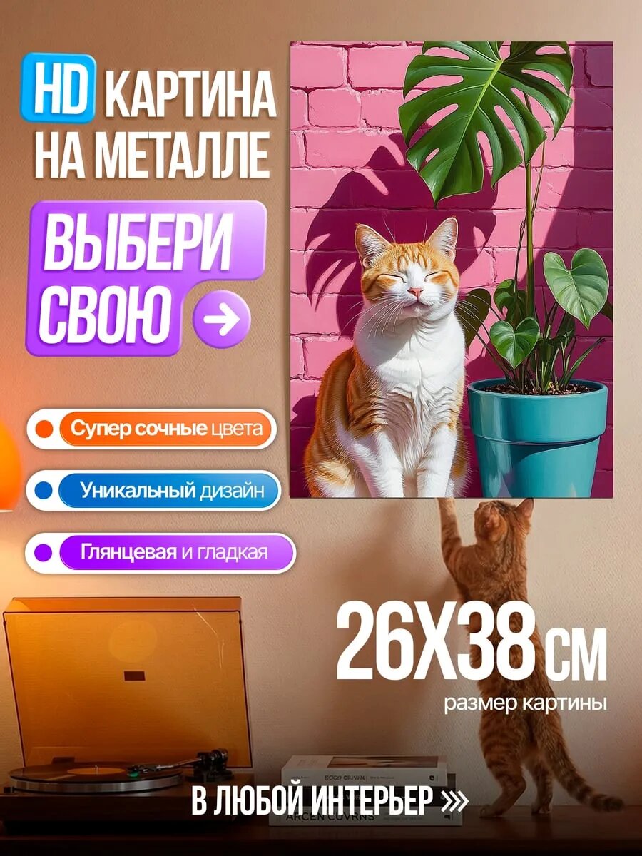 Картина на HD металле Кот и монстера