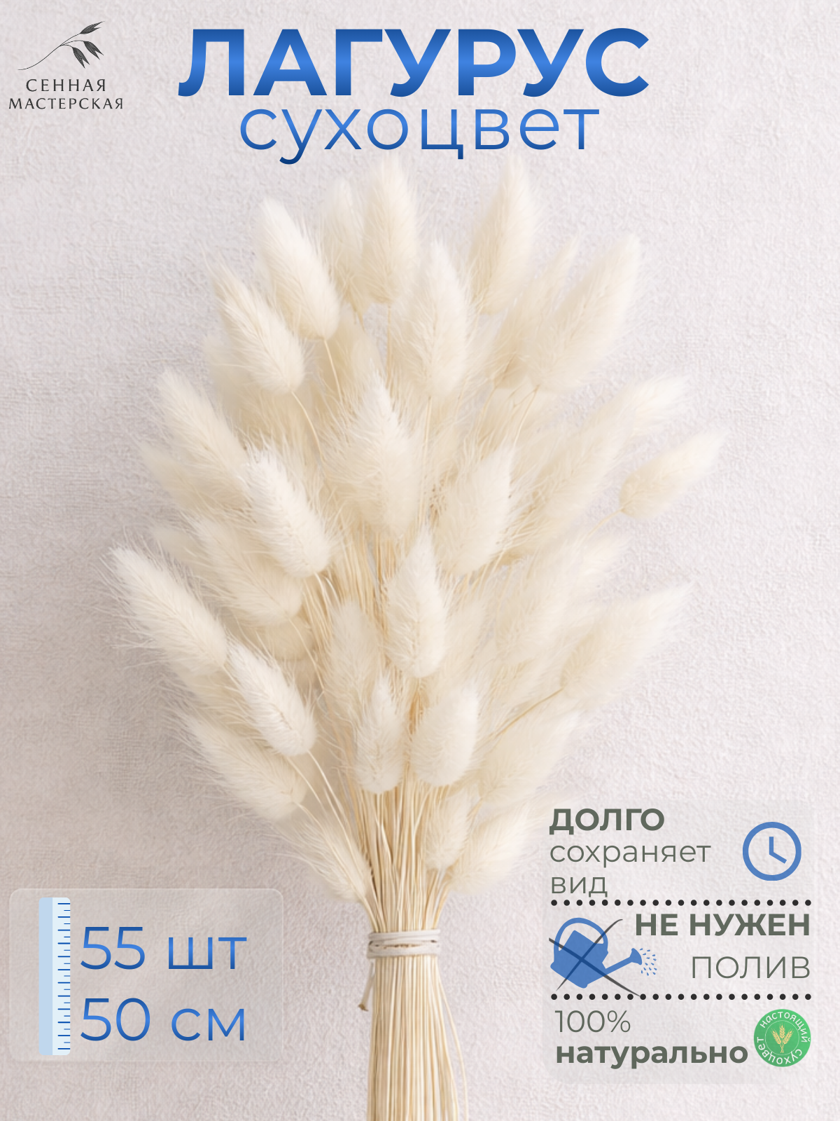 Лагурус сухоцветы для декора, букет из сухоцветов для интерьера, белый 50 см, 55 шт.