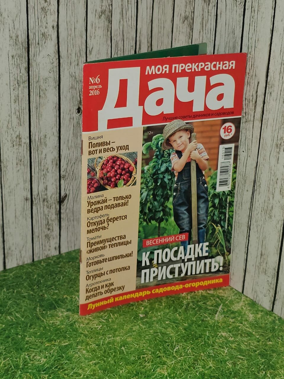 Журнал Моя прекрасная дача. Выпуск № 6 апрель 2016 год