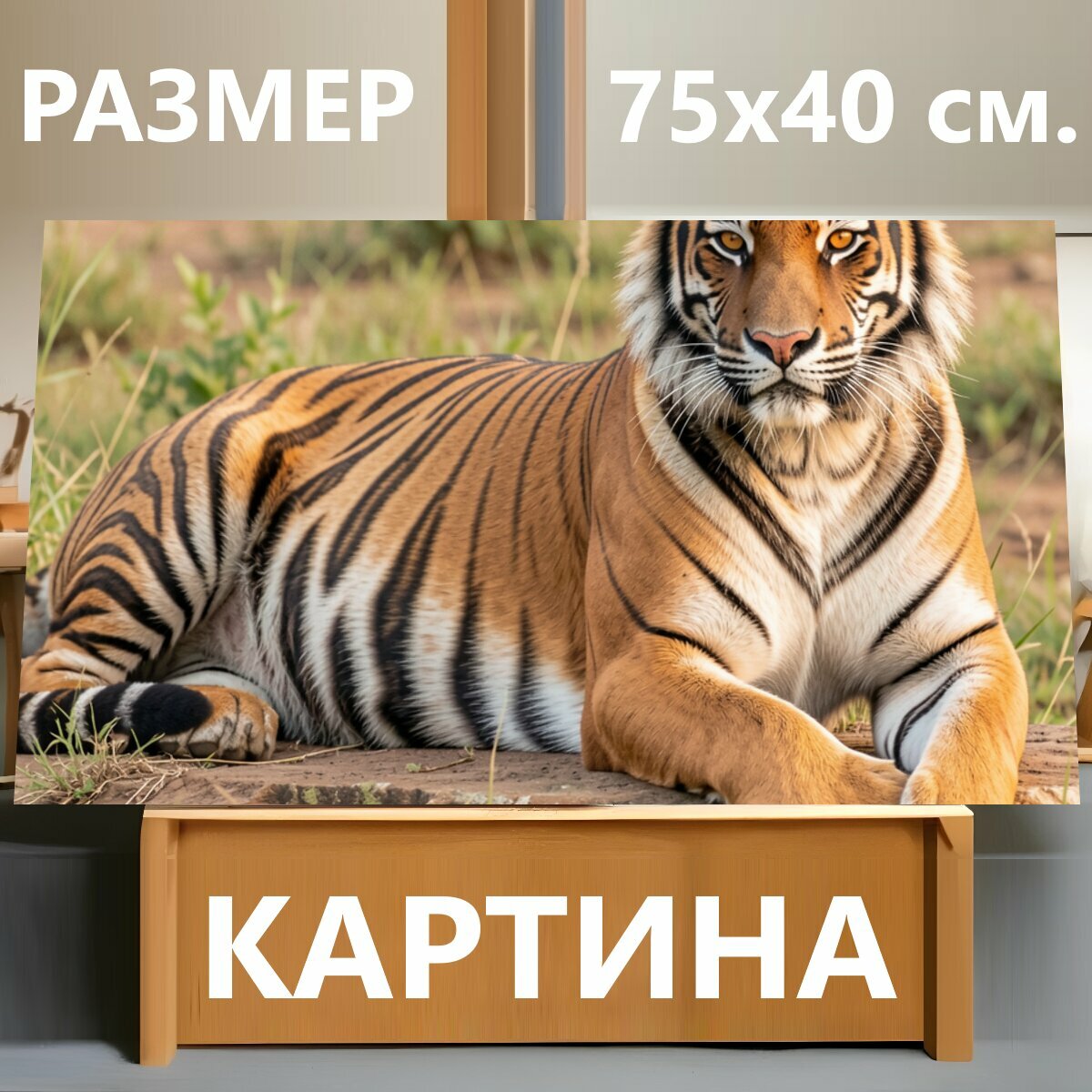 Картина на холсте "Тигр на камне в саванне. Реалистичное изображение крупного полосатого хищника, отдыхающего на скале среди высокой травы." на подрамнике 75х40 см. для интерьера