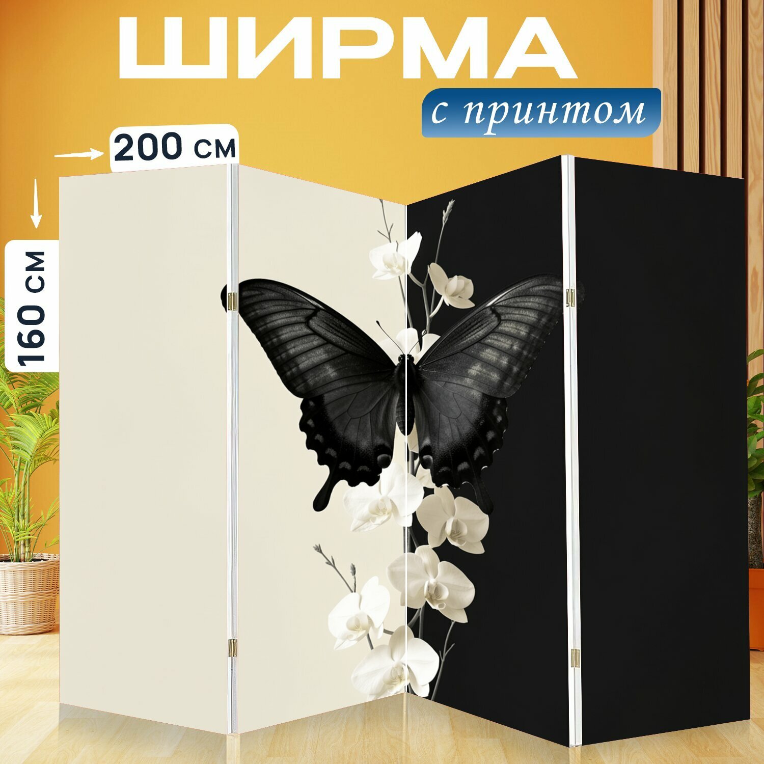 Ширма "Черная бабочка и белые орхидеи. Контрастная минималистичная композиция: темный мотылек на ветке светлых." перегородка для зонирования комнаты с принтом 200x160 см. на холсте