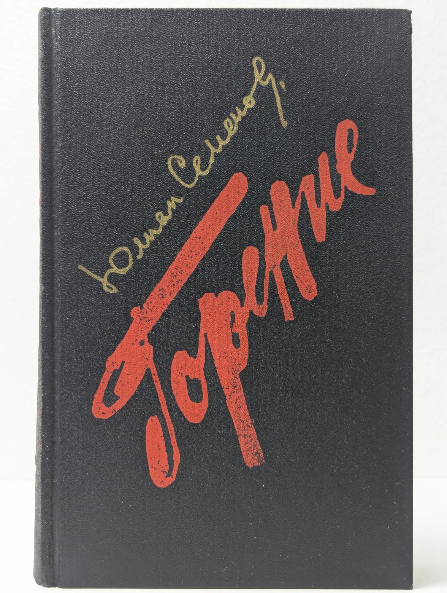 Горение Семенов Юлиан Семенович 1983
