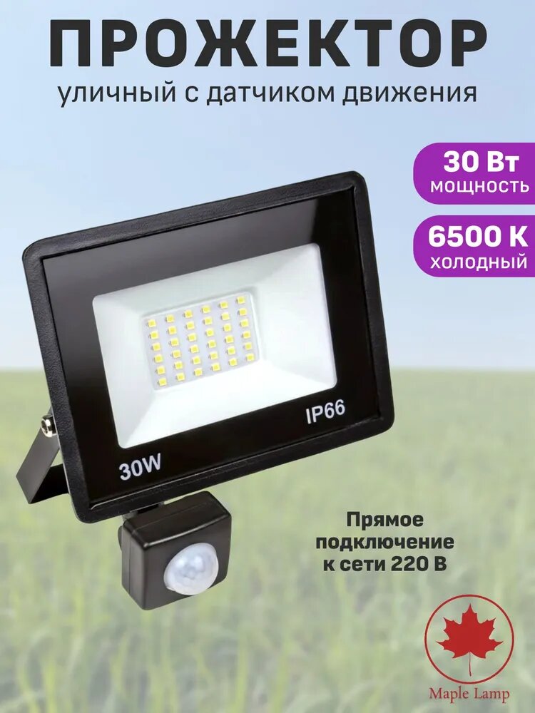 Уличный светильник, Без цоколя, LED, количество ламп:1шт
