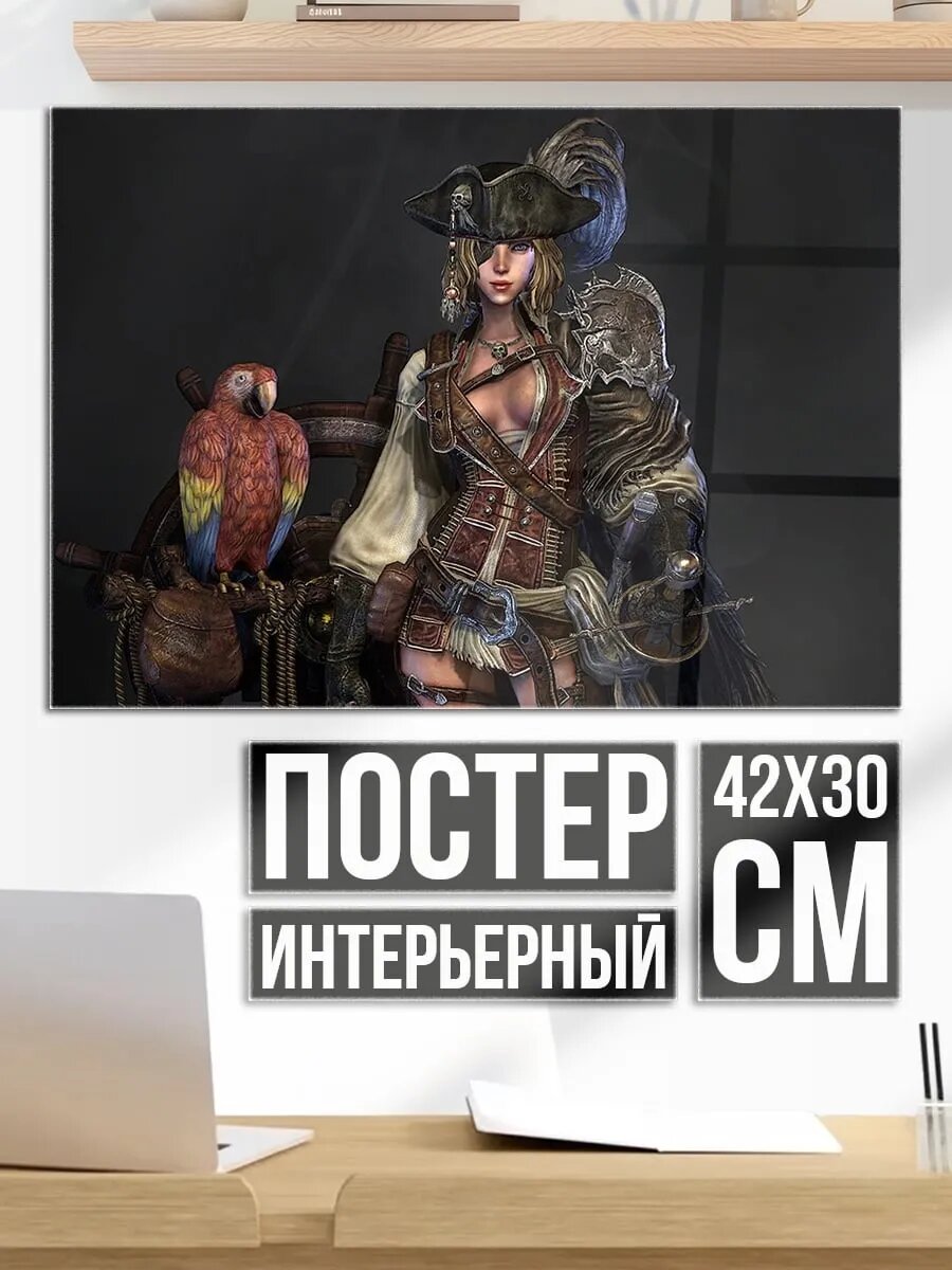 Плакат постер Пиратская девушка попугай