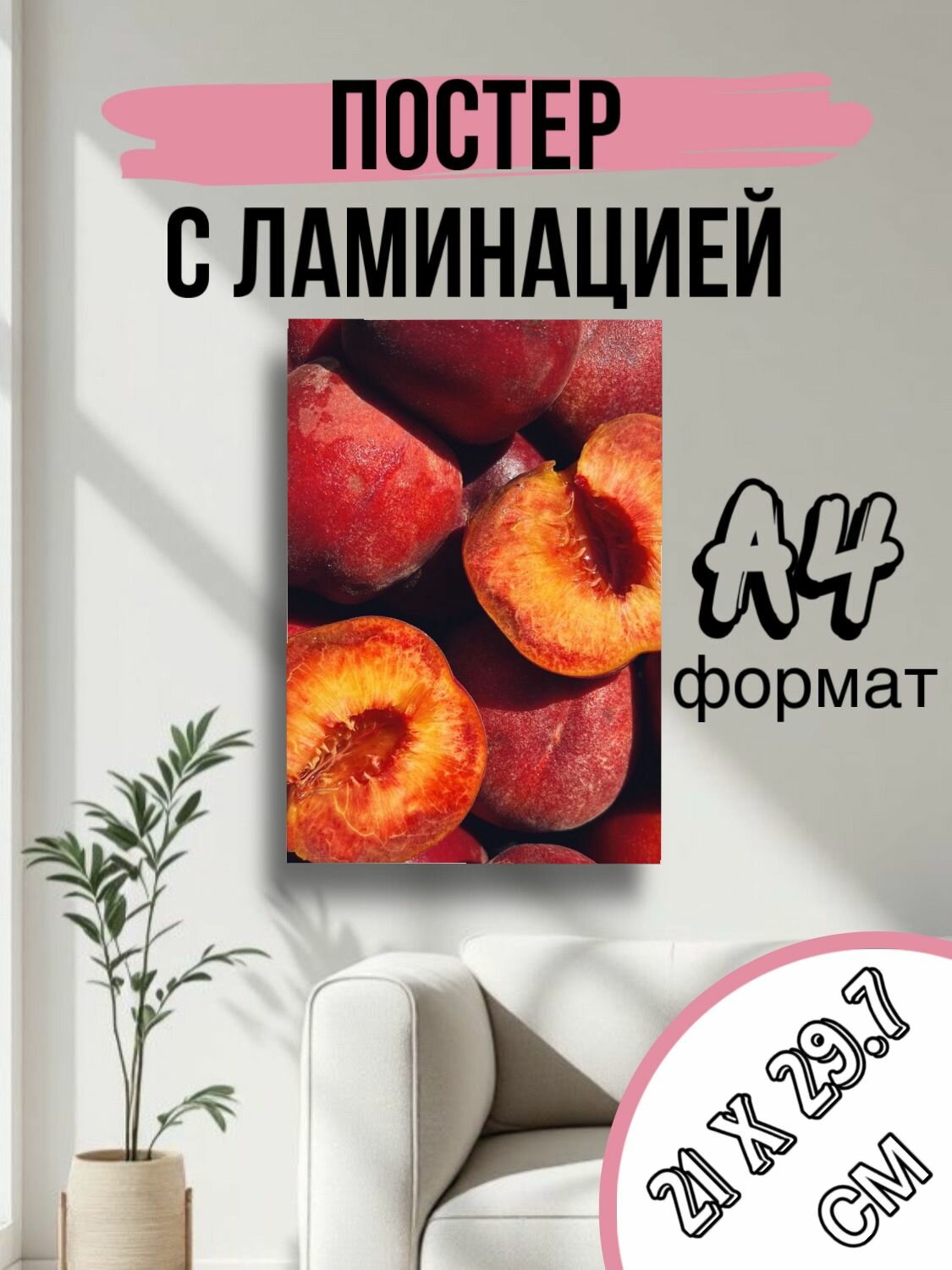 Постер