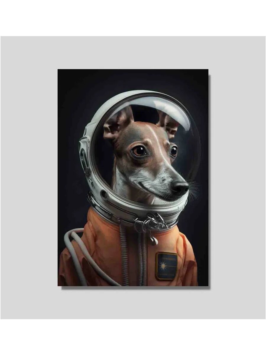 Итальянская борзая собака-космонавт, Плакат 30x42см
