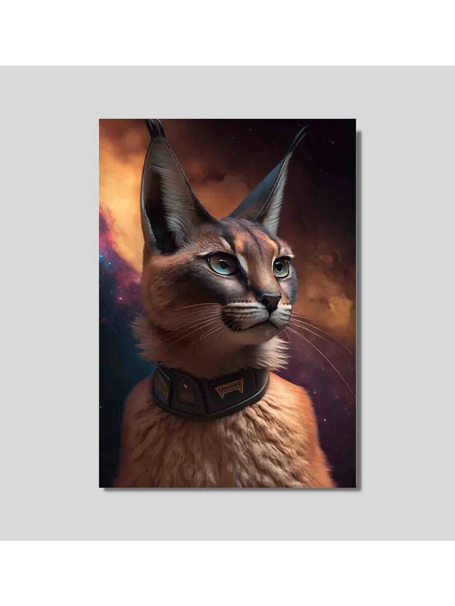Космонавт Каракал 4, Плакат 30x42см